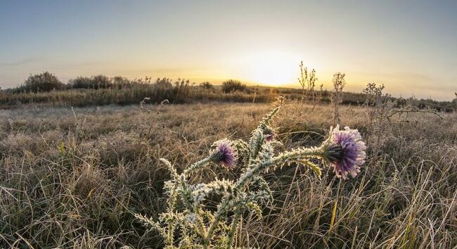 Alacsony a talaj nedvességtartalma, ami nem sok jót jelent