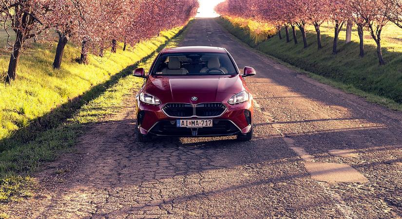 Soha nem vettek még ennyi BMW-t a magyarok
