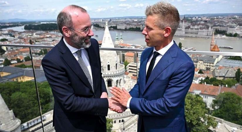 Nyilvánosságra került Magyar Péter házi feladata, a tiszások aligha ... Nyilvánosságra került Magyar Péter házi feladata, a tiszások aligha ...